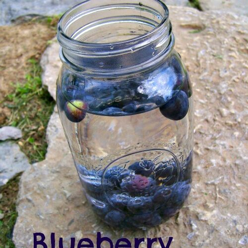 Blueberry Infused Water - STOCKPILING MOMS™